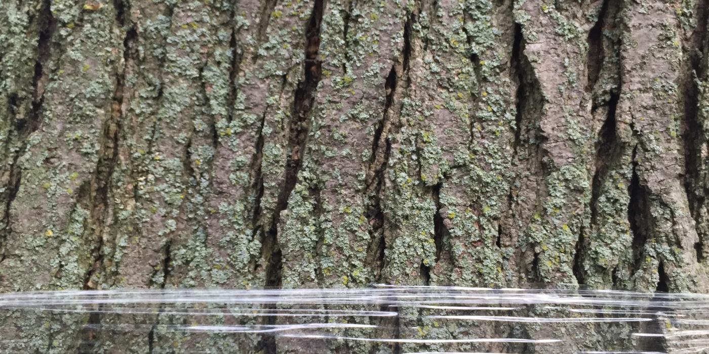 Darby English | Department of Art History