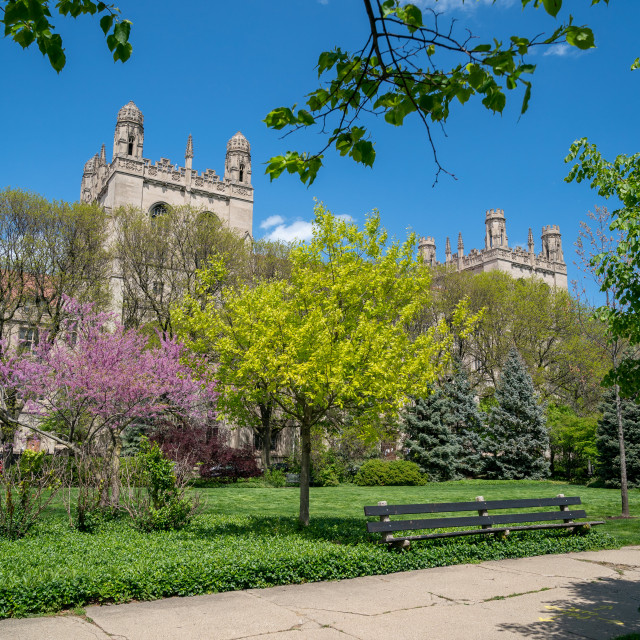 Office of College Community Standards | The College | The University of ...