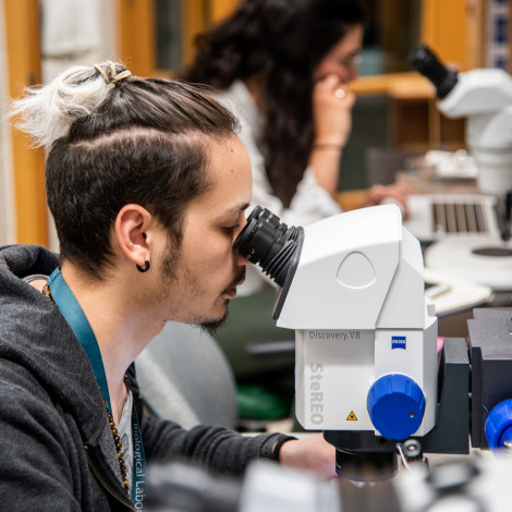 The College at Marine Biological Laboratory | The College | The ...