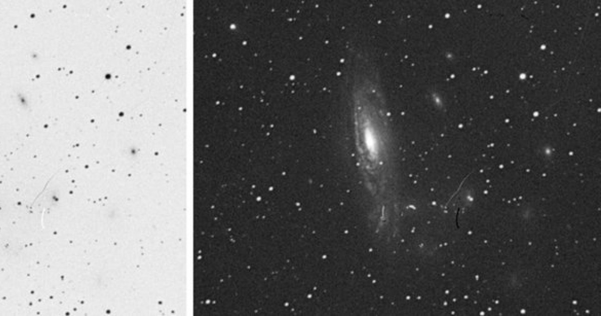 Library staff, faculty, and students join forces to drive new ...