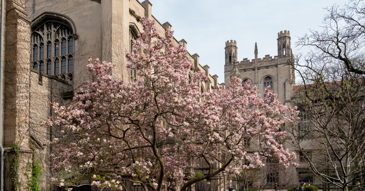 Four graduate students honored for exceptional teaching of ...