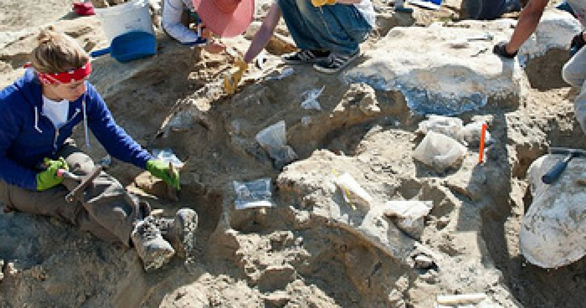 Dig Deep | The College | The University of Chicago | The University of ...