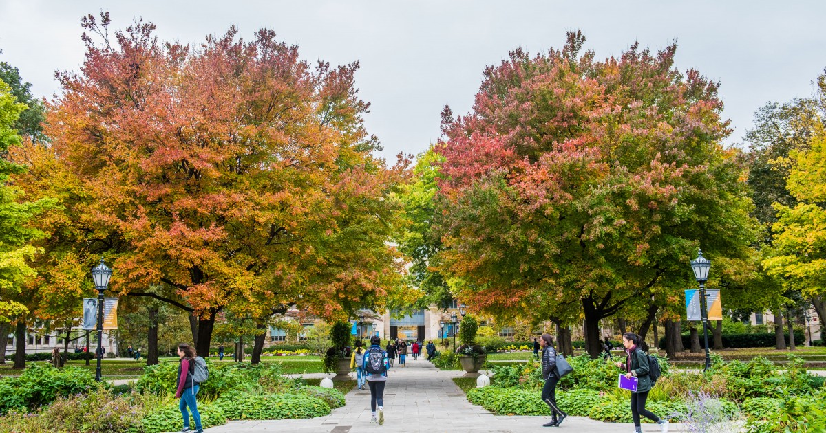 Students explore diverse academic interests through new programs of ...