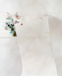 Artist Talk: Laura Letinsky | Department of Visual Arts