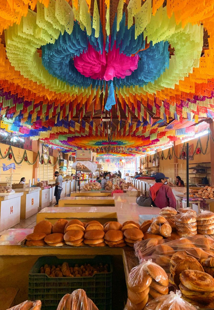 RLL Photo Prize | Romance Languages & Literatures